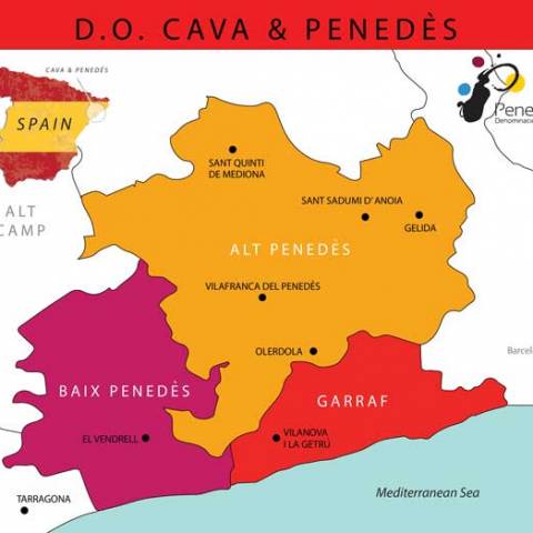 ¿Champagne o Cava? ¿Qué elegir para celebrar el inicio de 2018?