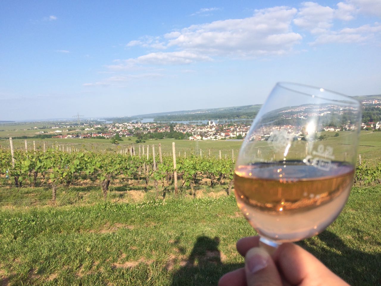 La riesling y la clasificación de los vinos alemanes - Vinálogos