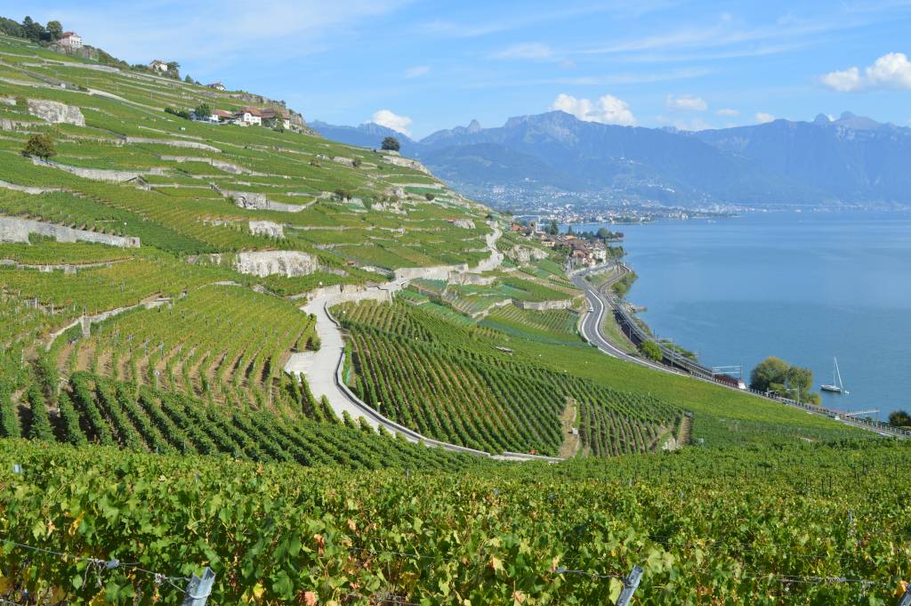 Suiza y el vino suizo – Vinálogos