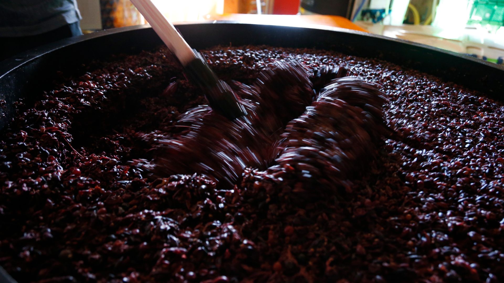 Técnicas de extracción de color en el vino – Vinálogos